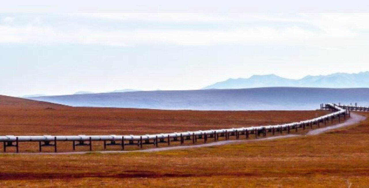 Trump 2.0: Energy and diversity in focus | UBS Global