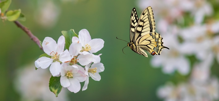 Historically, the S&P 500 has performed well after periods of ...