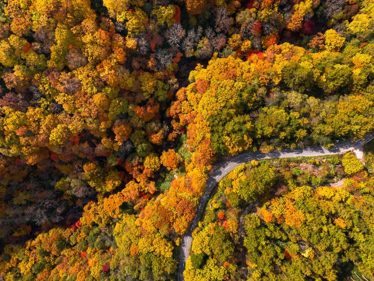 Sustainable investing in charts: October update | UBS United States of ...