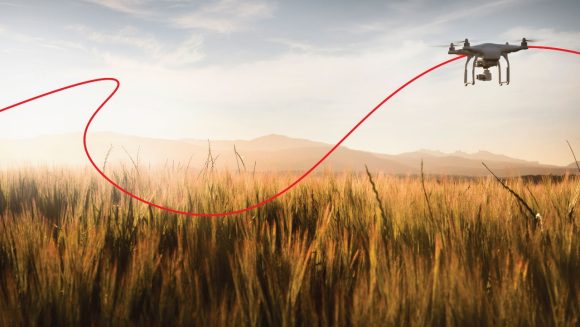 Farmland: The Red Thread – Alternatives | UBS Germany