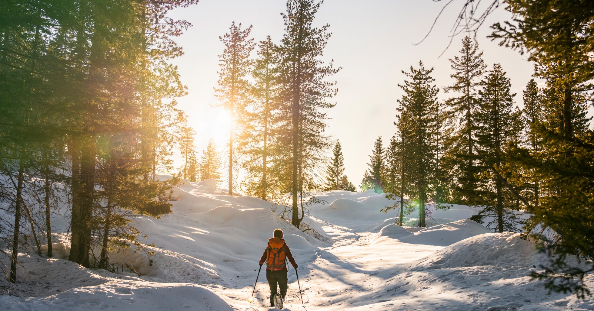 HFS Bulletin December 2024 | UBS Global