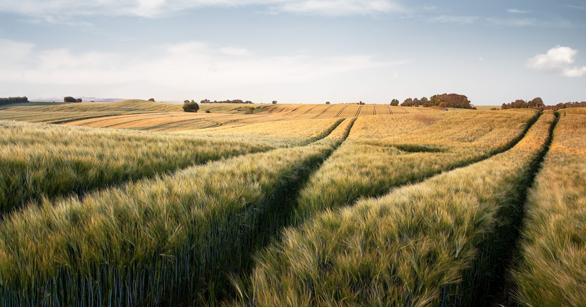 Growing from the ground up | UBS Global