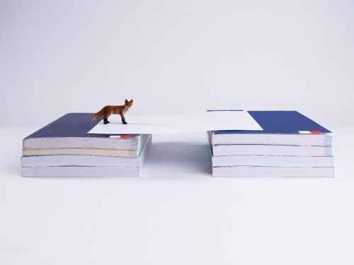 Paper bridges | UBS Family