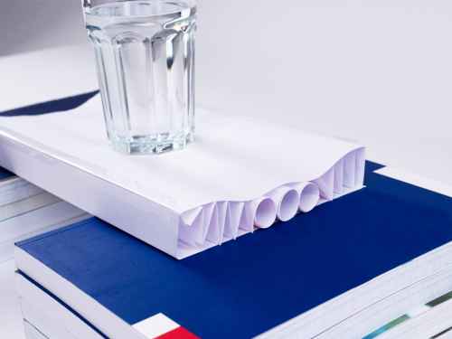 Paper bridges | UBS Family