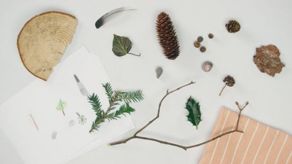 Fun for kids: a nature memory game | UBS Family