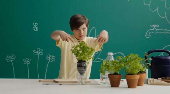 Plant-watering system with Topsy | UBS Family