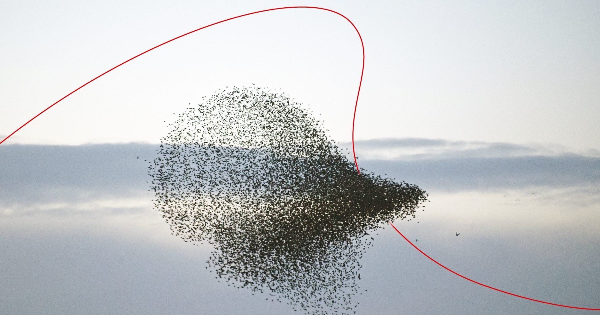 Megatrends and disruptive innovation | UBS United Kingdom