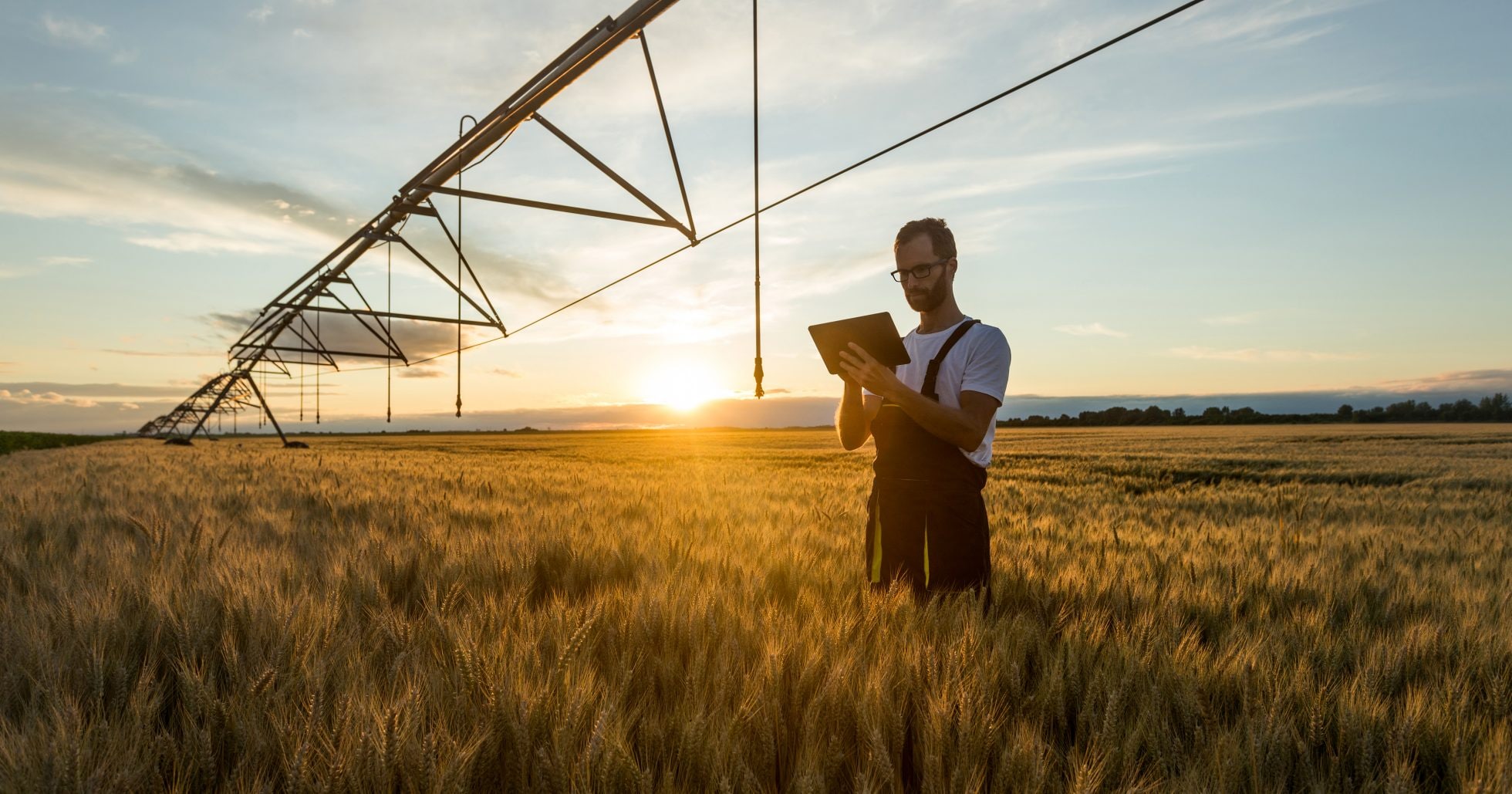 Donor-advised funds vs. direct giving | UBS United States of America