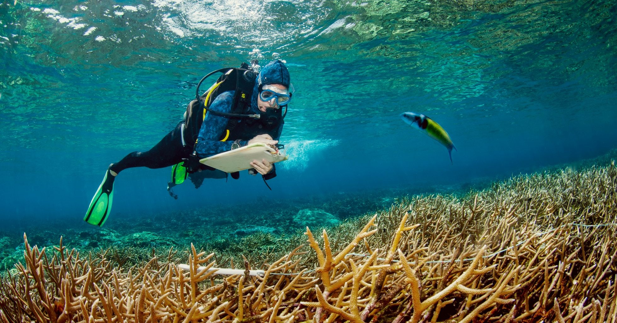 Understanding green bonds | UBS United States of America