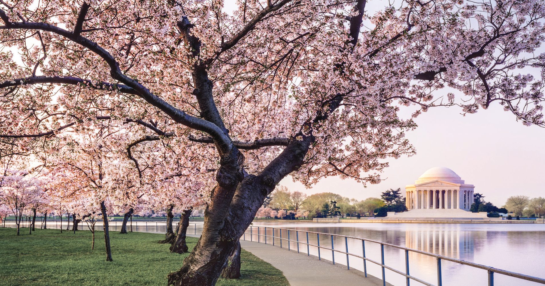 Washington Weekly: One Year in, Again | UBS United States of America